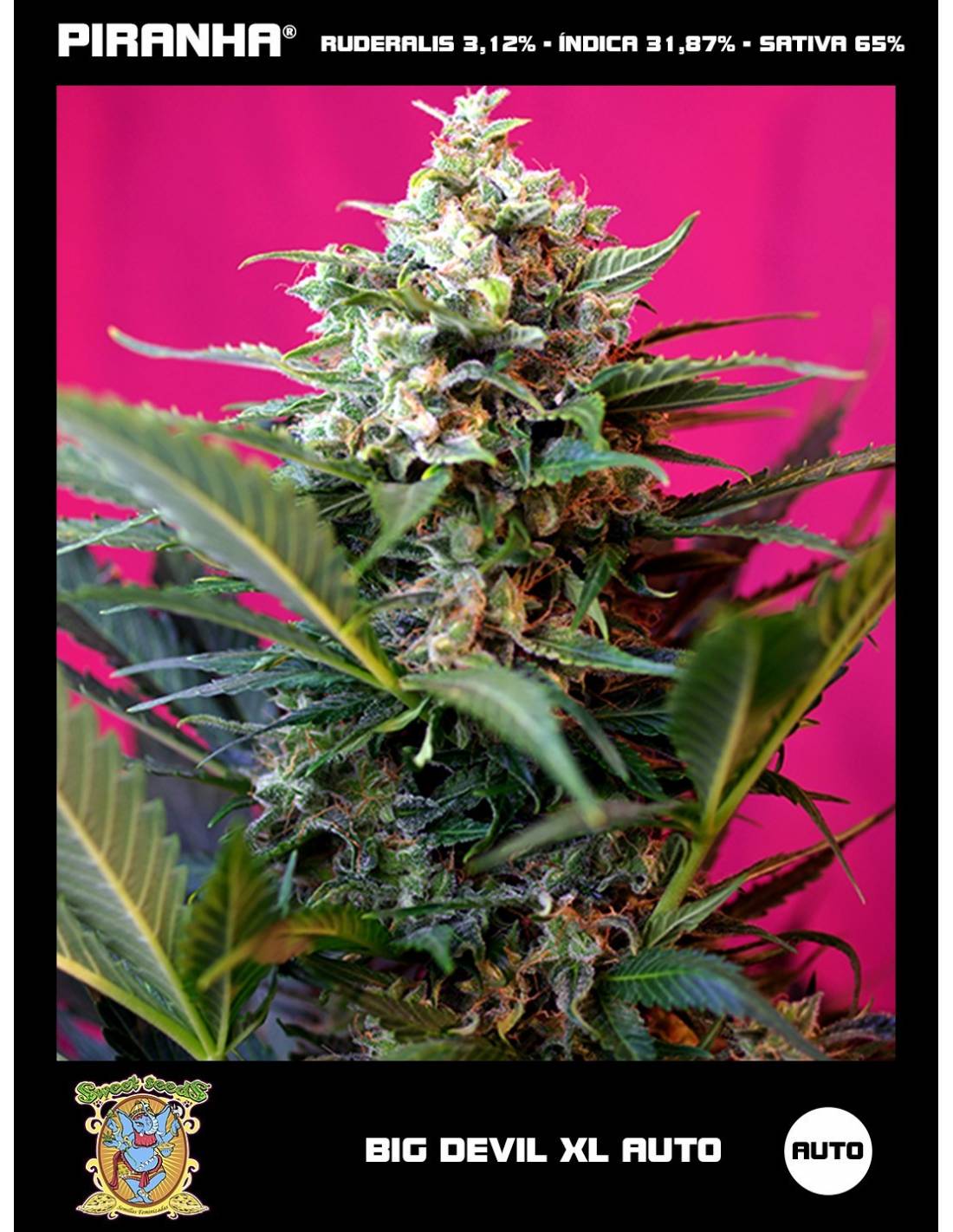 Semillas Big Devil XL Auto (3u)